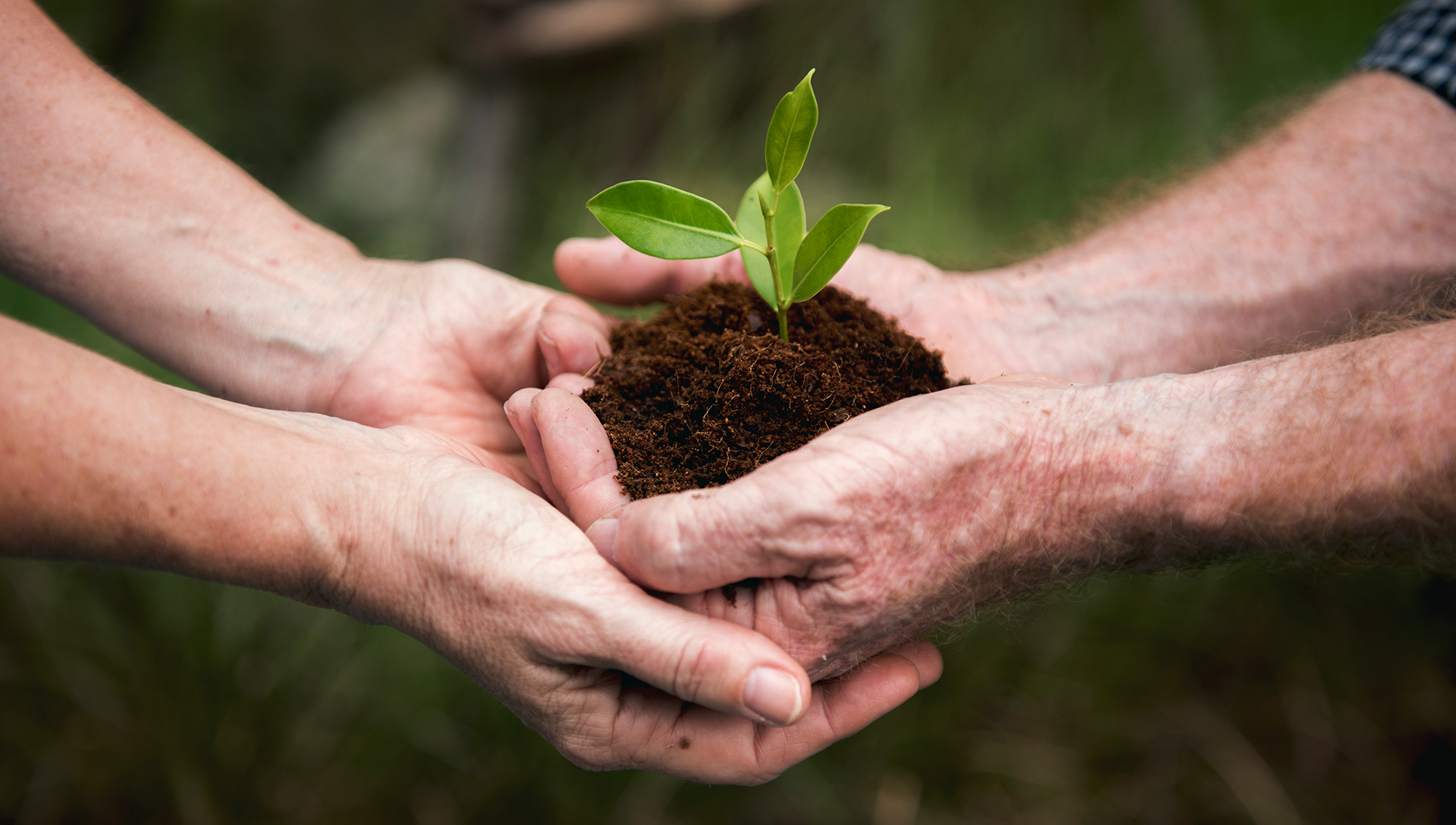 About Sreshta Farms - Technology-Driven Agriculture for Sustainable Farming